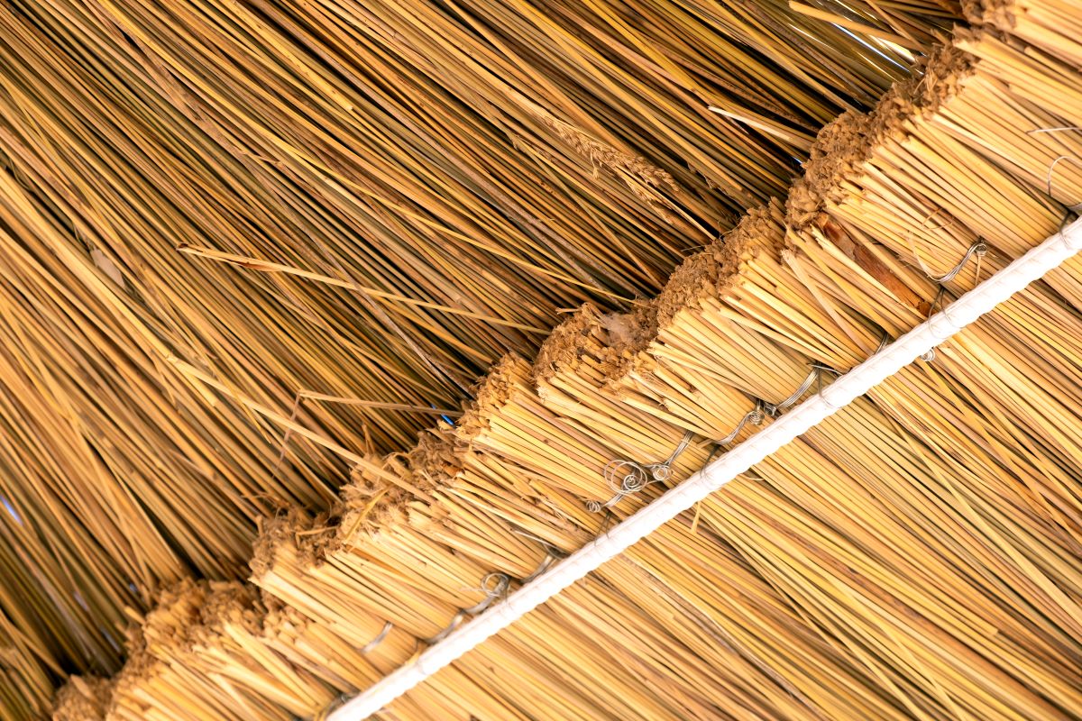 Bauen mit Stroh als Alternative - Vorteile